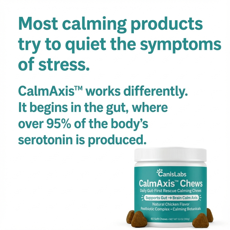 Stop Gut Dysfunction CAUSING Your Dog's Behavior Problems with CalmAxis ...